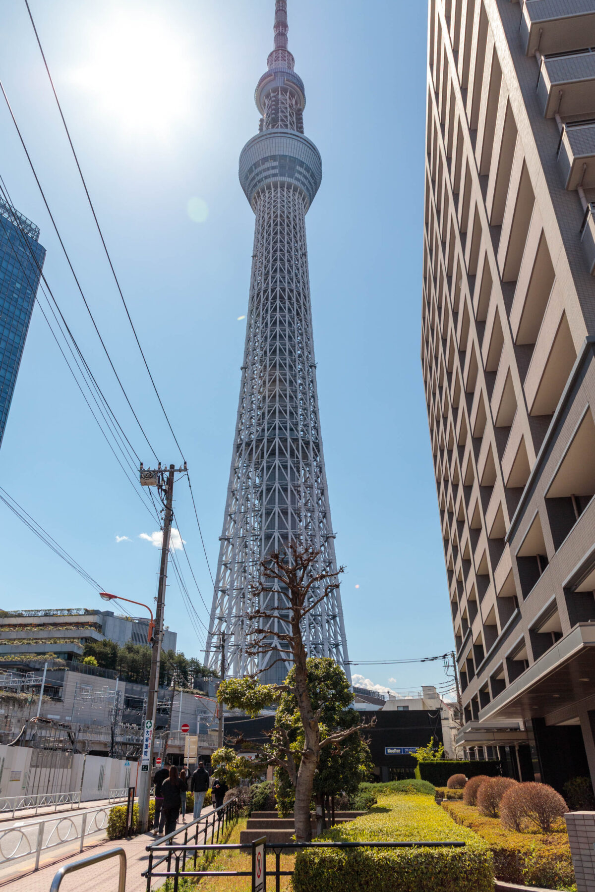 My first blossom day, part 1: Sumida Park – Nerdwatch!